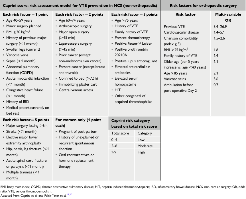 Anämiediagnostik und -Therapie Grad 1 Empfehlungen der 2022 ESC ...